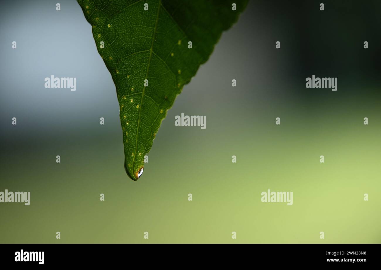 Final drop hi-res stock photography and images - Alamy