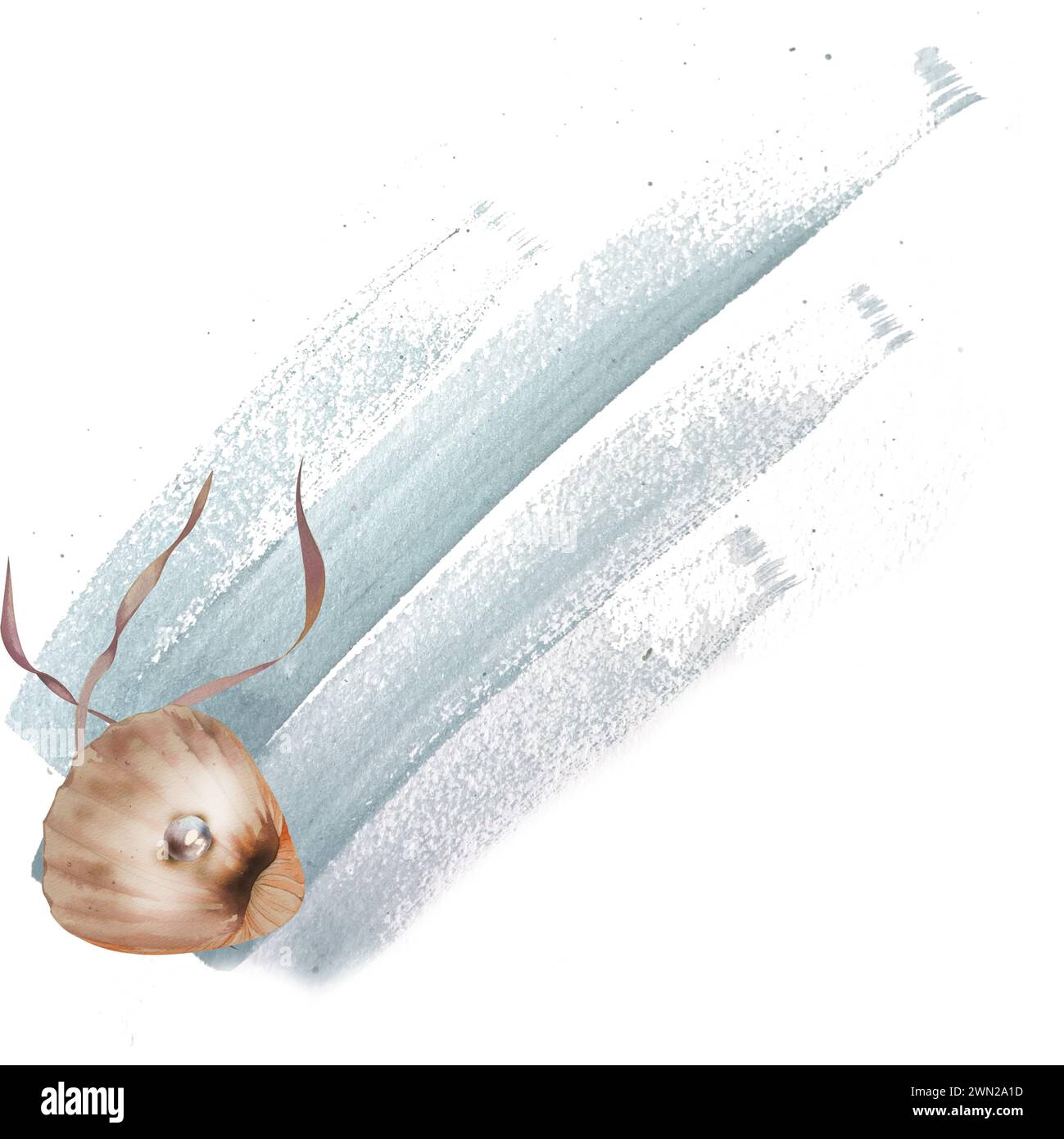 Watercolor illustration of a shell with a pearl on a splash background ...