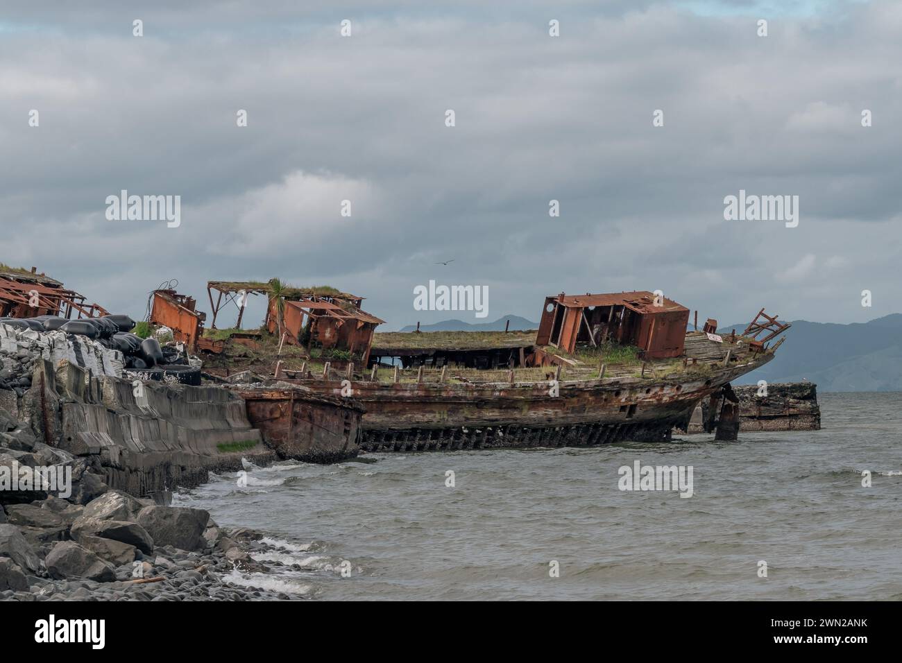 The old Whakatiiwai Shipwreck on the Seabird Coast on the western shore ...