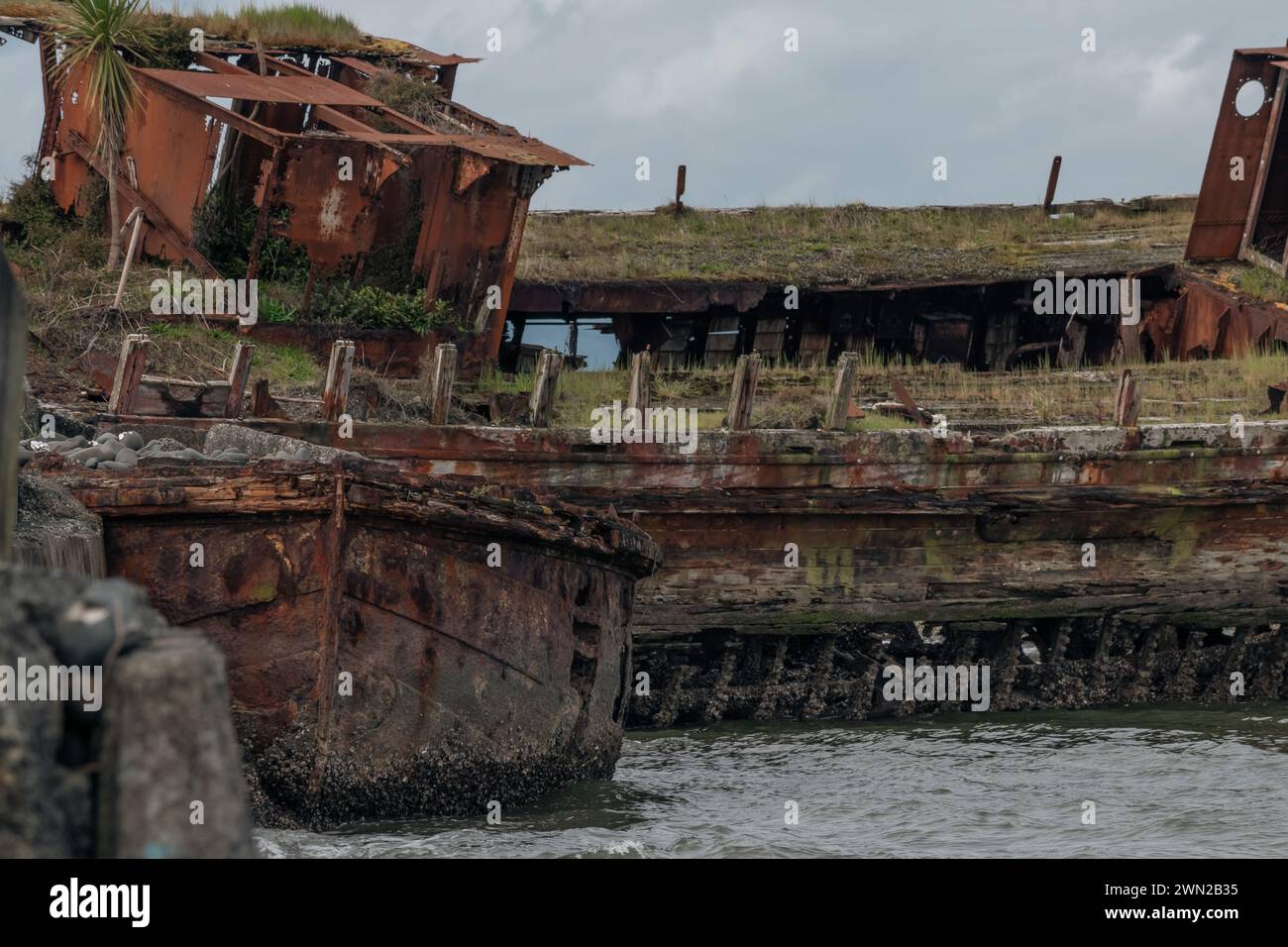 The old Whakatiiwai Shipwreck on the Seabird Coast on the western shore ...