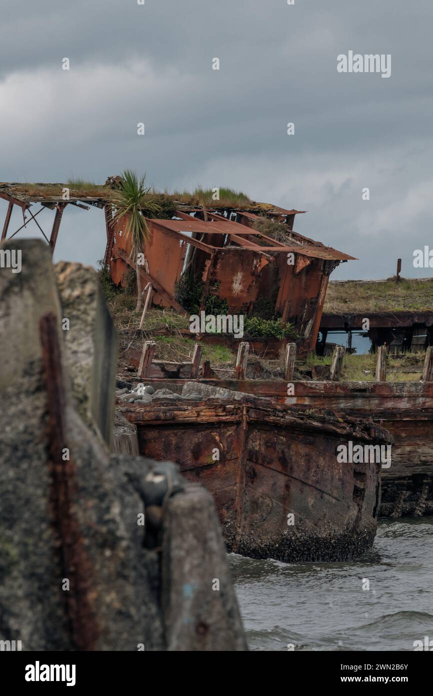 The old Whakatiiwai Shipwreck on the Seabird Coast on the western shore ...