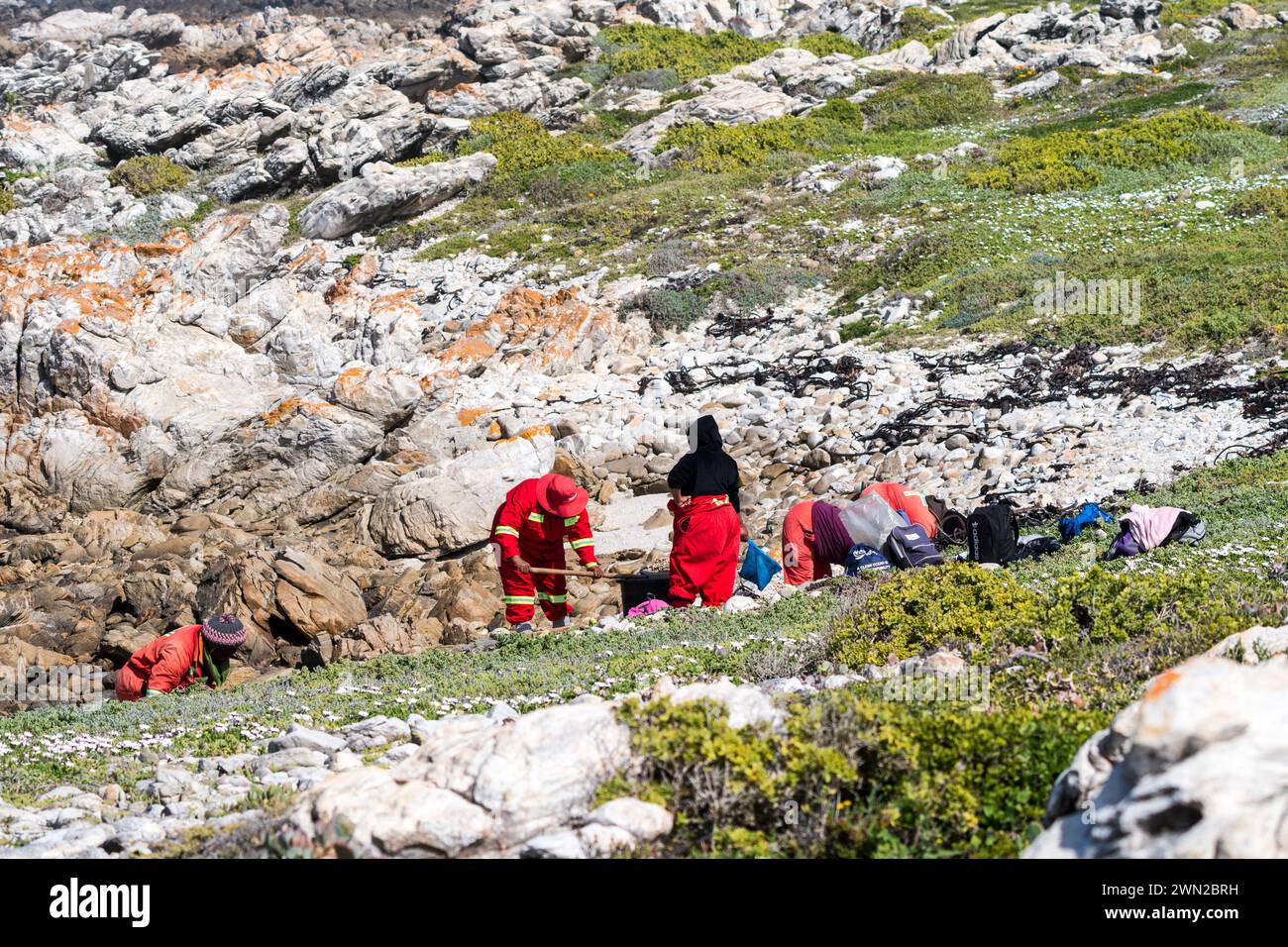 municipal workers wearing overalls clean a beach in the Western Cape ...