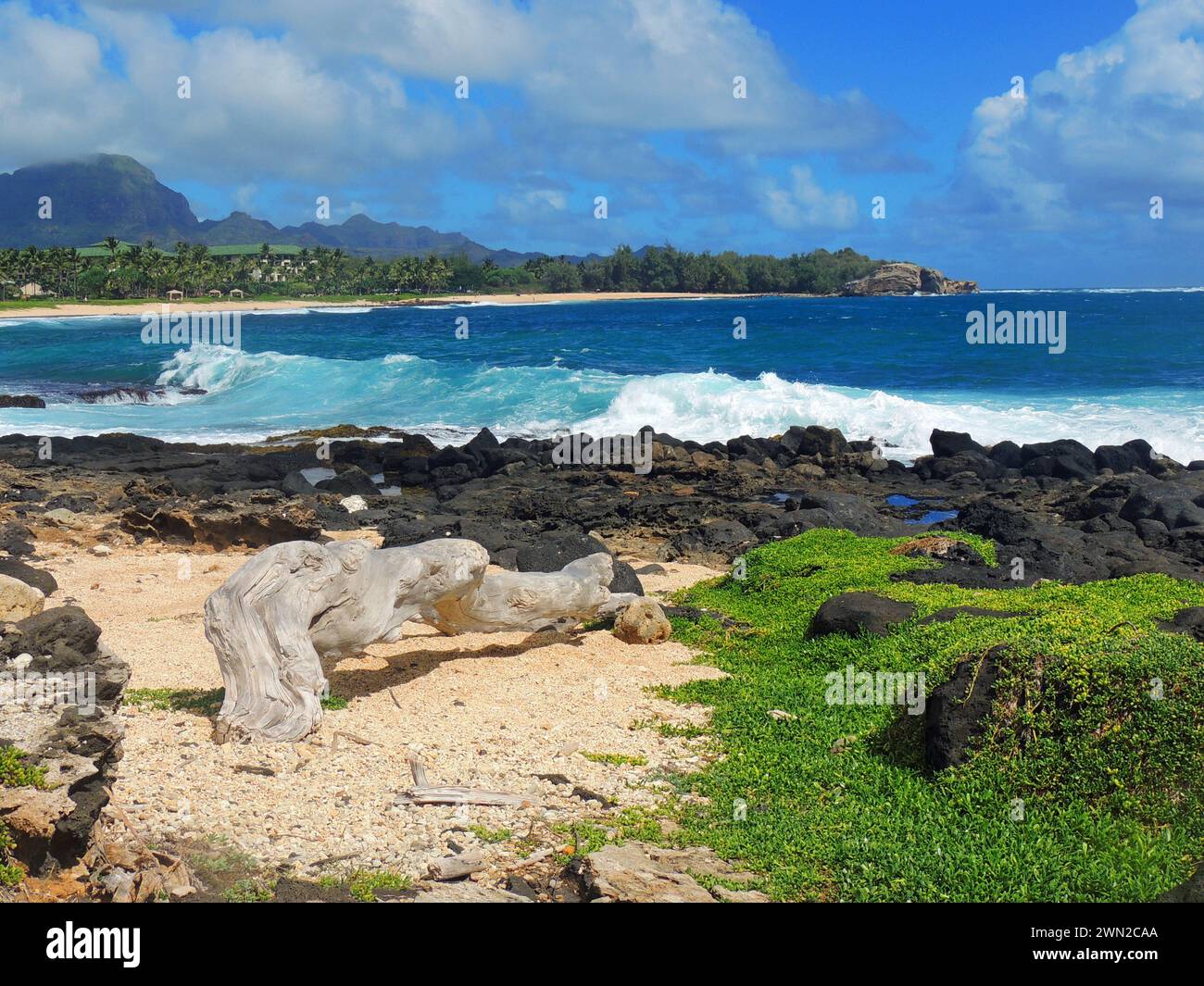 shipwreck beach. waves, and driftwood on a sunny day in poipu, kauai ...