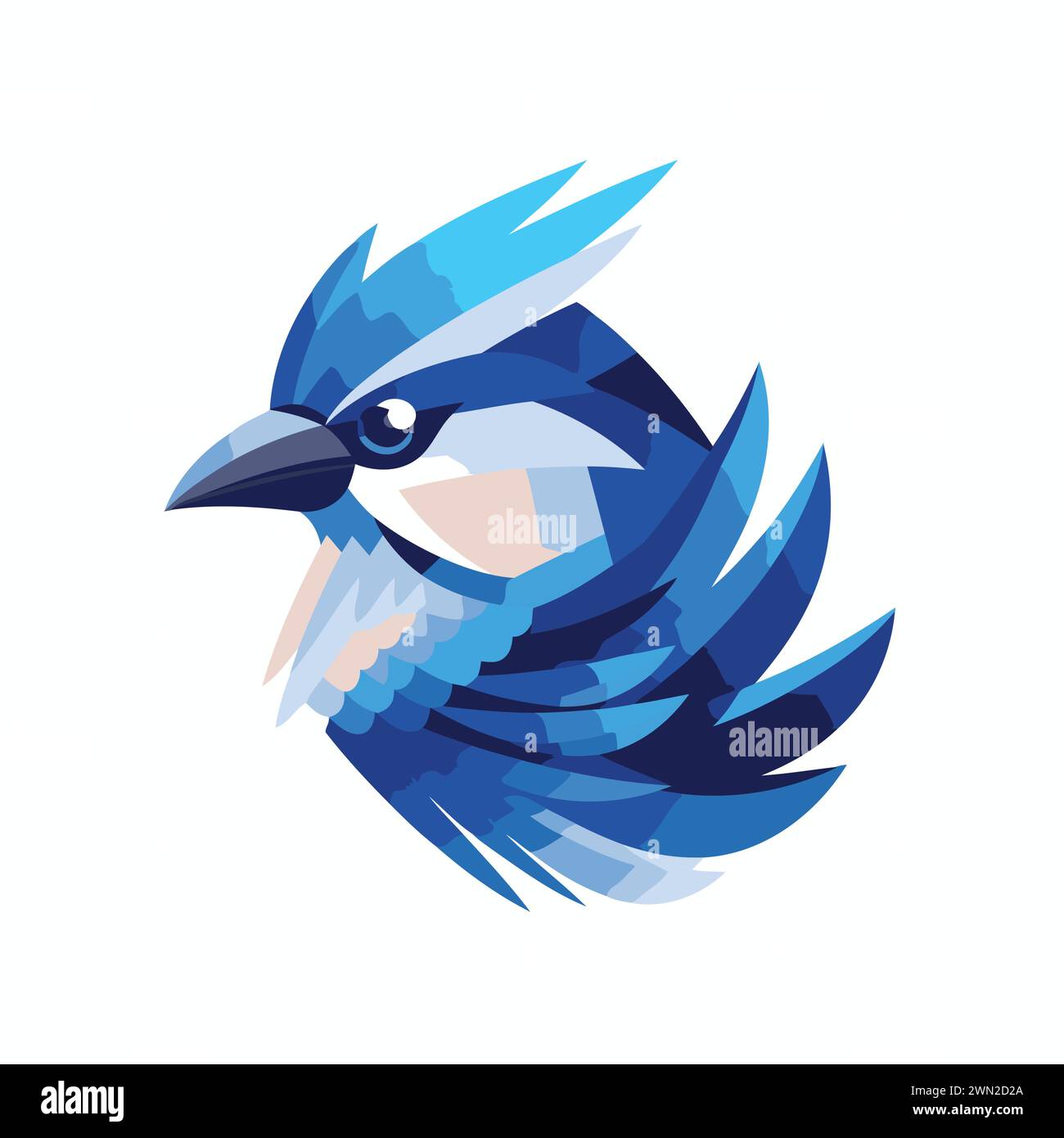 Blue jay bird. Vector illustration isolated on a white background Stock ...