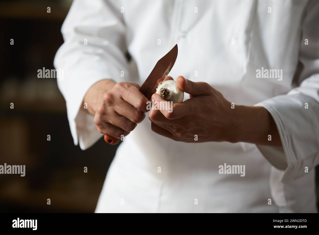 Cook making dishes in the kitchen Stock Photo - Alamy