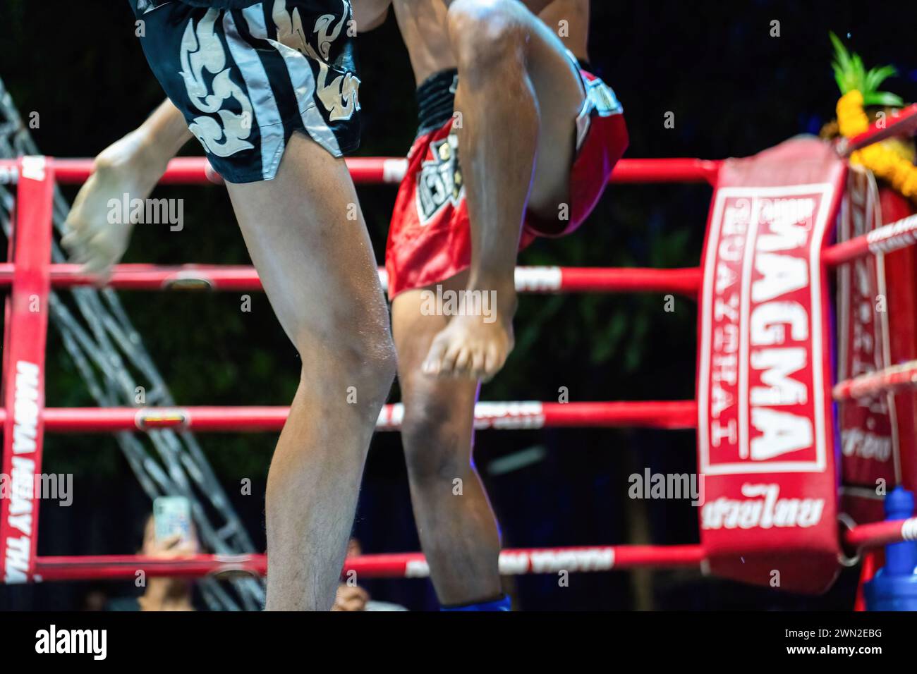 Koh Chang, Thailand. 24th Feb, 2024. A close-up of the legs of the ...