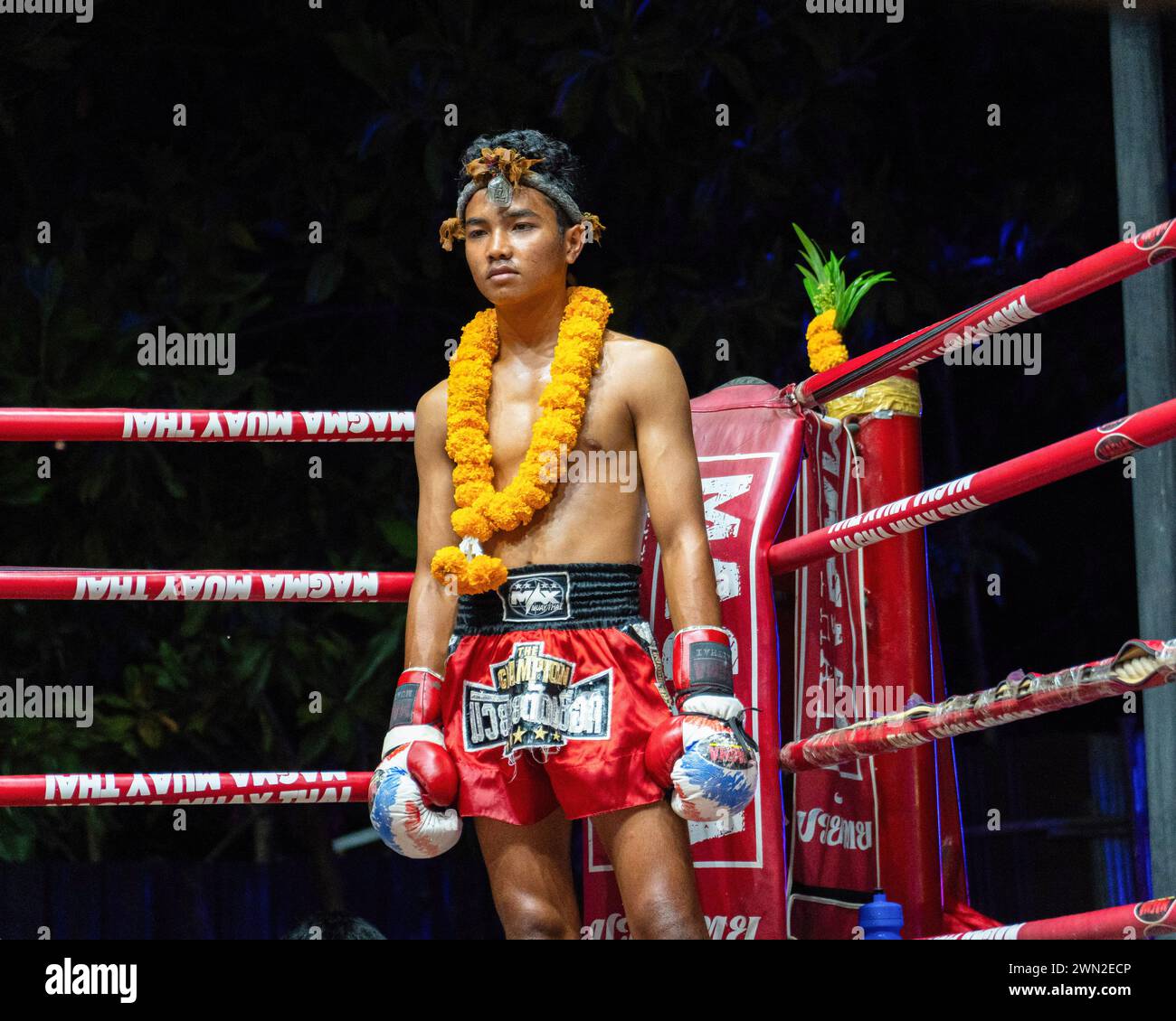 Koh Chang, Thailand. 24th Feb, 2024. Boxer Petch Wan Den, wearing a ...