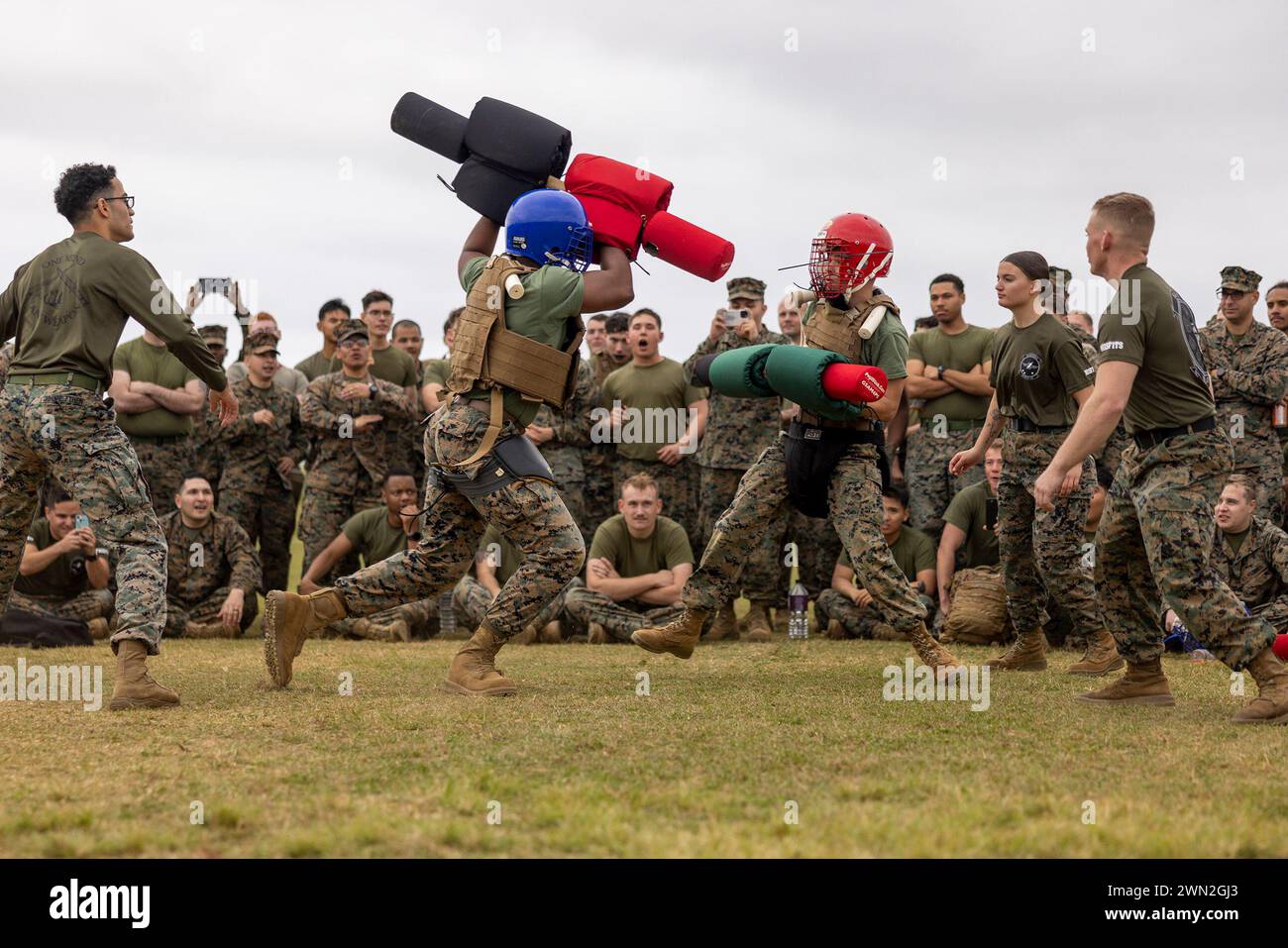 Macg hi-res stock photography and images - Alamy