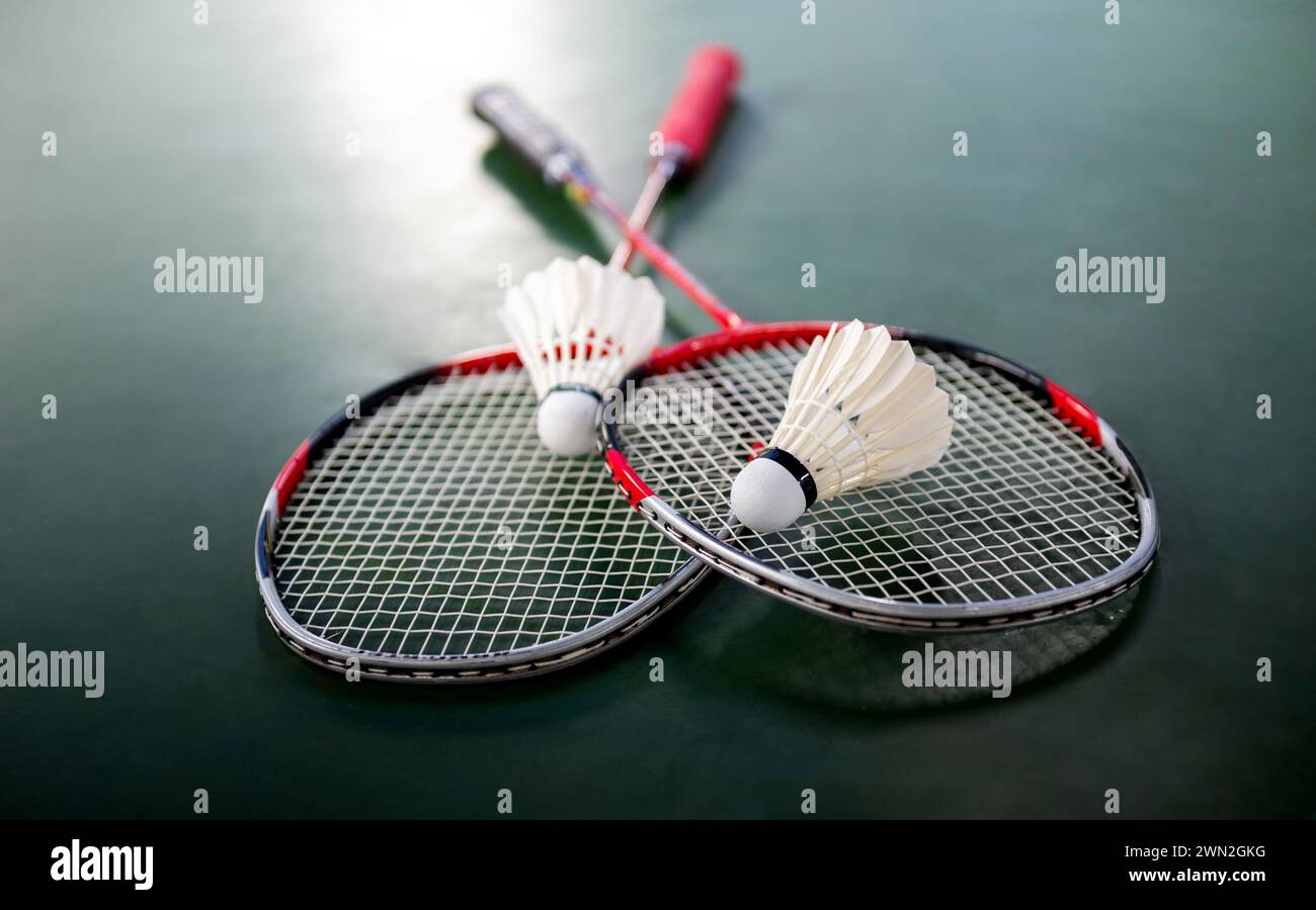 Badminton court competing hi-res stock photography and images - Alamy