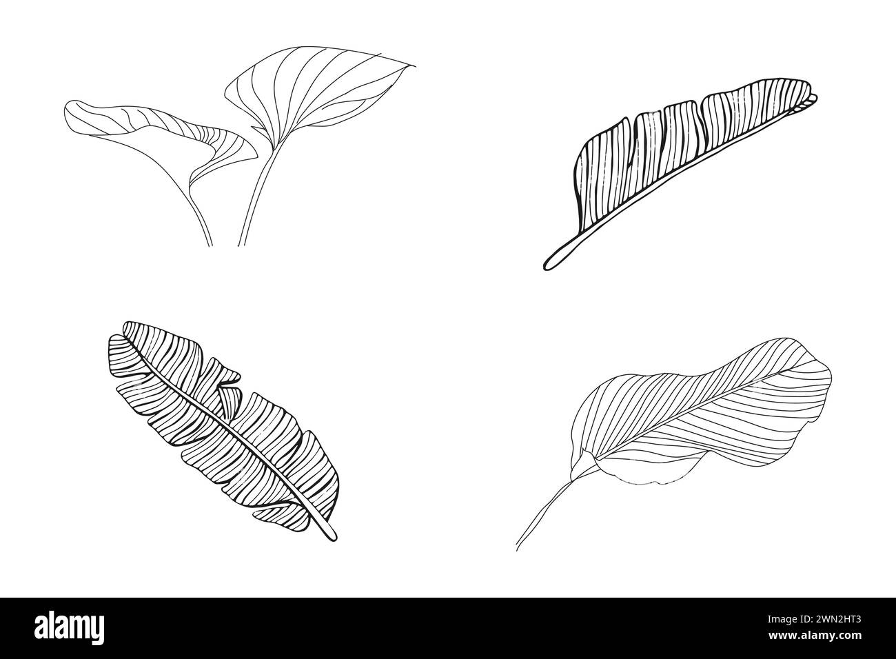 line texture background in vector formate style, square box composed ...