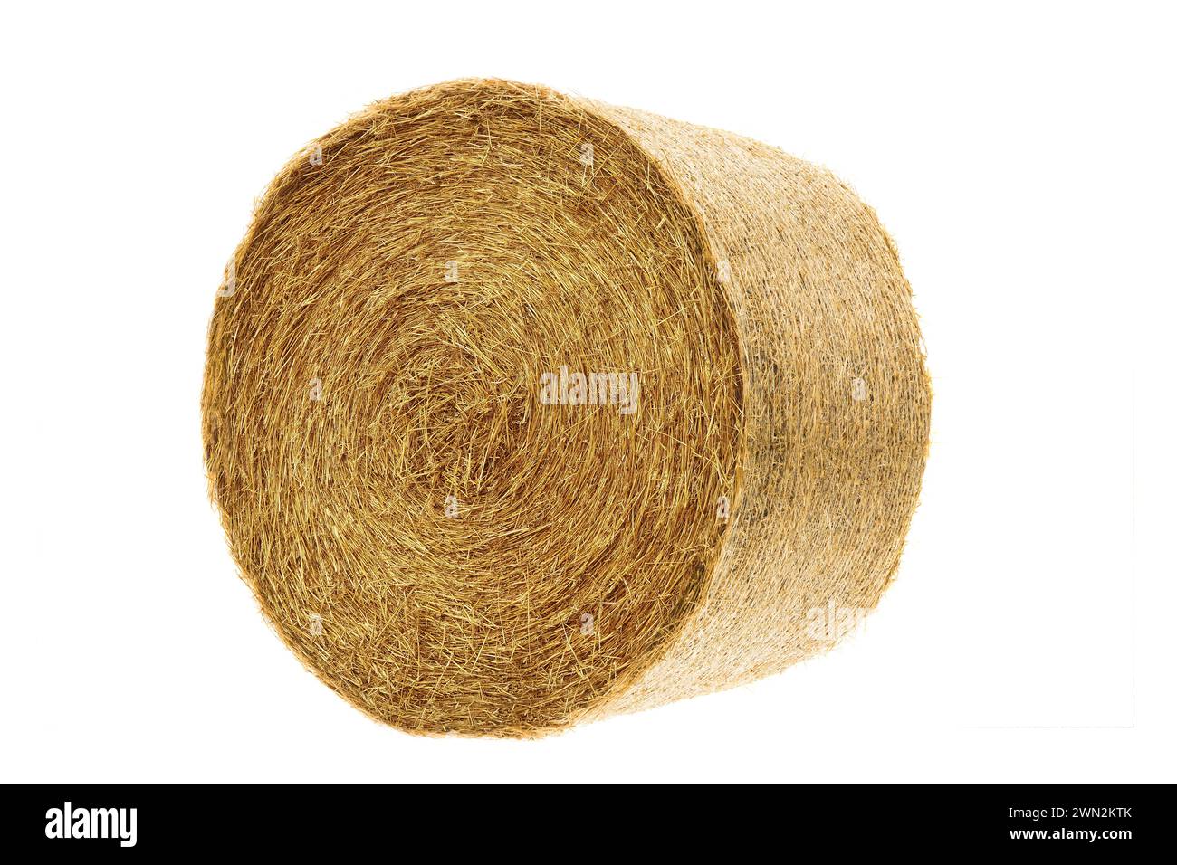 Round hay bale isolated on a white background Stock Photo - Alamy