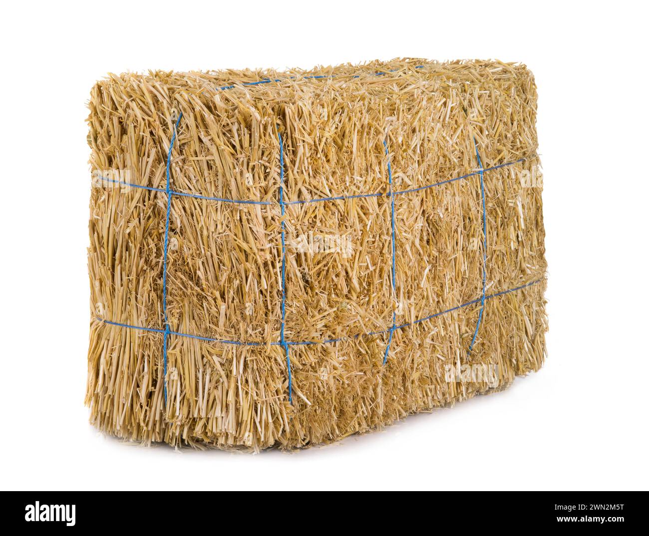 hay isolated on a white background Stock Photo - Alamy