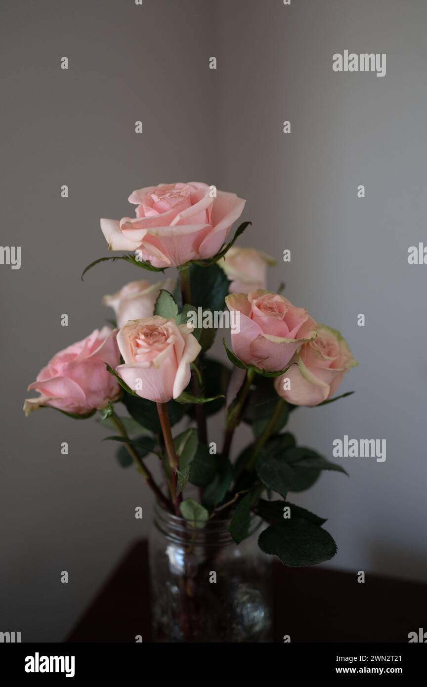 The subtle sophistication meets natural charm in the gentle hues of ...