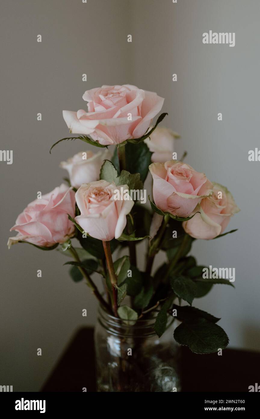 The subtle sophistication meets natural charm in the gentle hues of ...