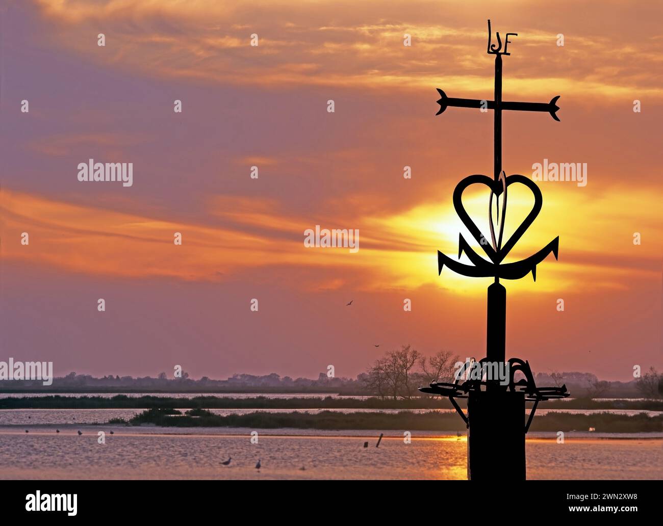 Camargue cross hi-res stock photography and images - Alamy