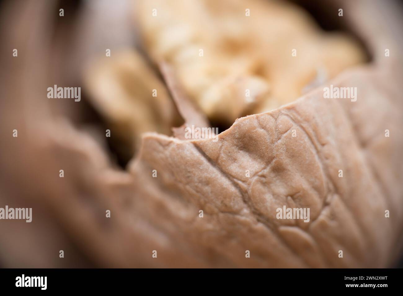 Nature's Jewel: Close-Up of a Cracked Walnut Revealing Kernel ...