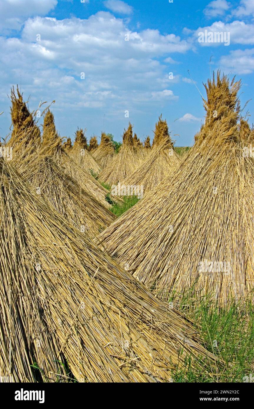 Conical piles hi-res stock photography and images - Alamy