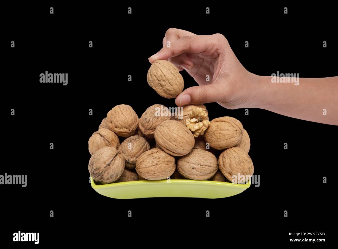 Hand selecting whole walnut from hi-res stock photography and images ...
