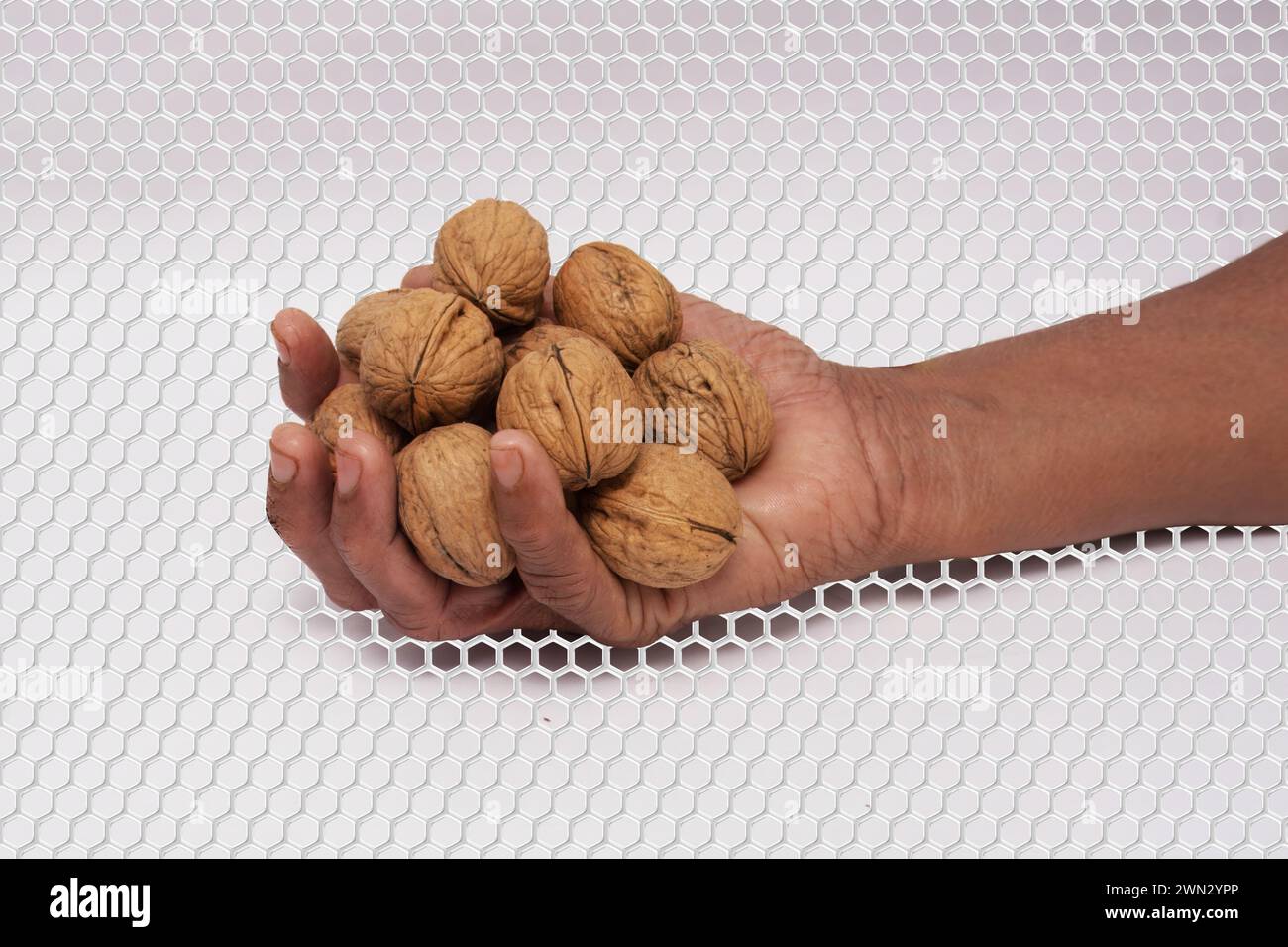 Handheld Fresh Walnuts: A Symbol of Natural Nutrition, An image ...