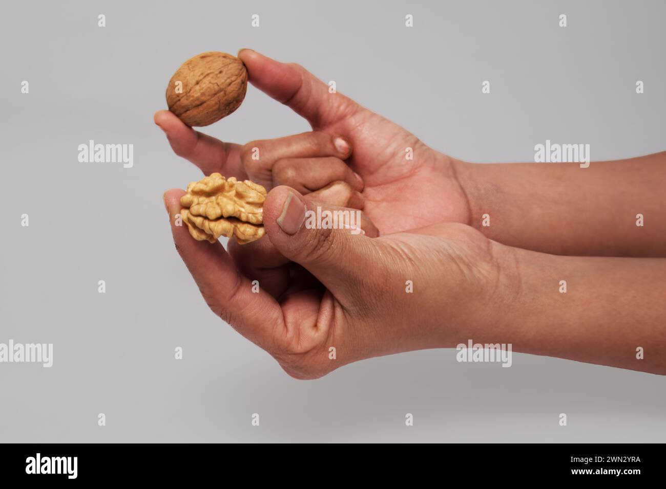 Skillful Hands Reveal Fresh Walnut Kernels: Nature's Packaged Snack, An ...