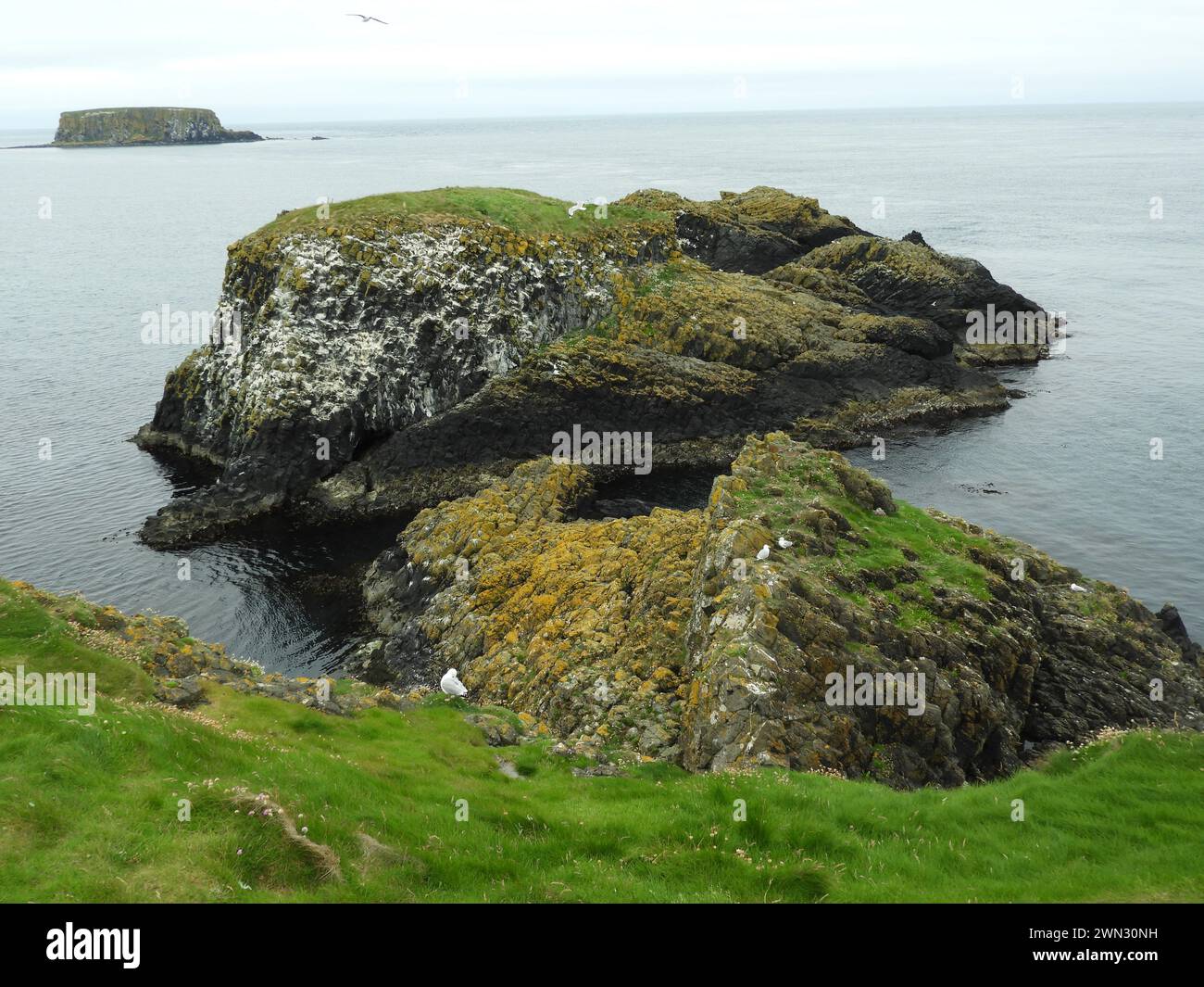 A scenic view of Ireland's rugged cliff landscape Stock Photo - Alamy