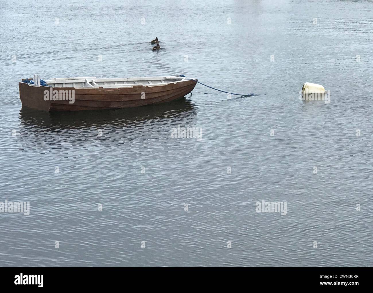 Traditional irish rowing boat hi-res stock photography and images - Alamy