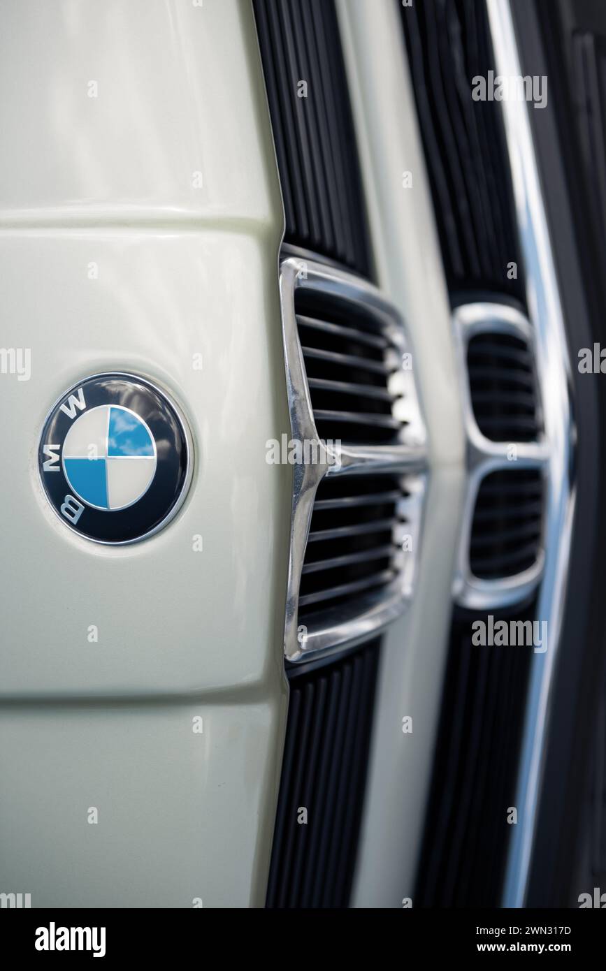 Edge of the hood of old light green BMW. Top-down view of the front ...