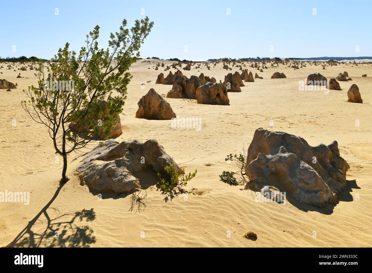 The Pinnacles, limestone rock formations in Nambung NP, Western ...