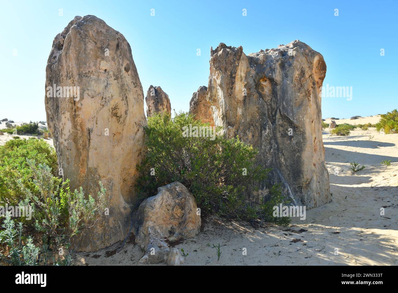 The Pinnacles, limestone rock formations in Nambung NP, Western ...