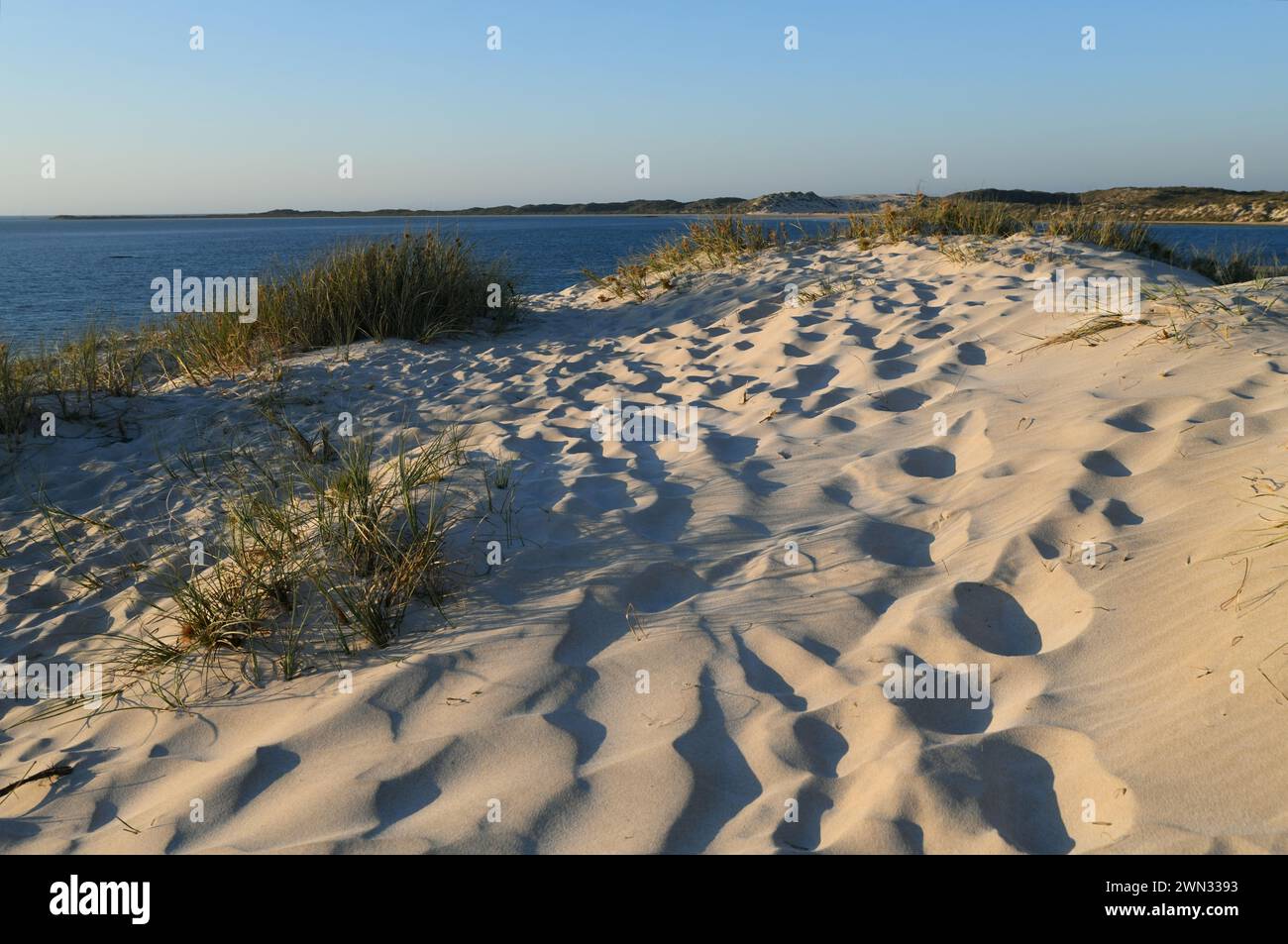 Dune diving hi-res stock photography and images - Alamy