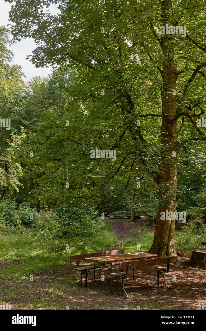 Idyllic Picnic Area At Urach Waterfall Cascade “Uracher Wasserfall ...