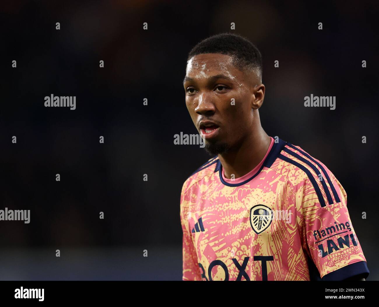 Jaidon anthony hi-res stock photography and images - Alamy