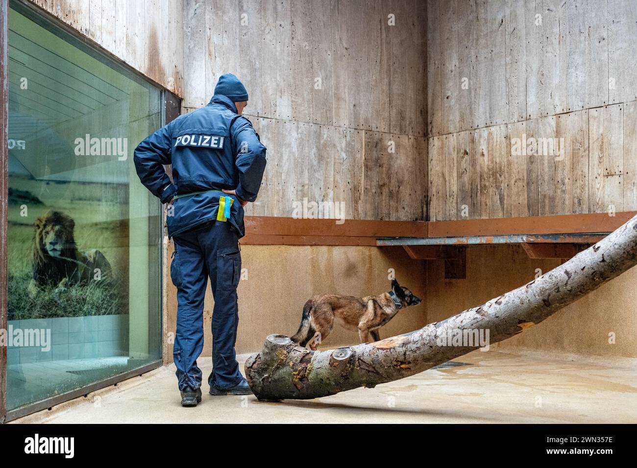 Straubing, Germany. 28th Feb, 2024. A Bavarian police explosives ...