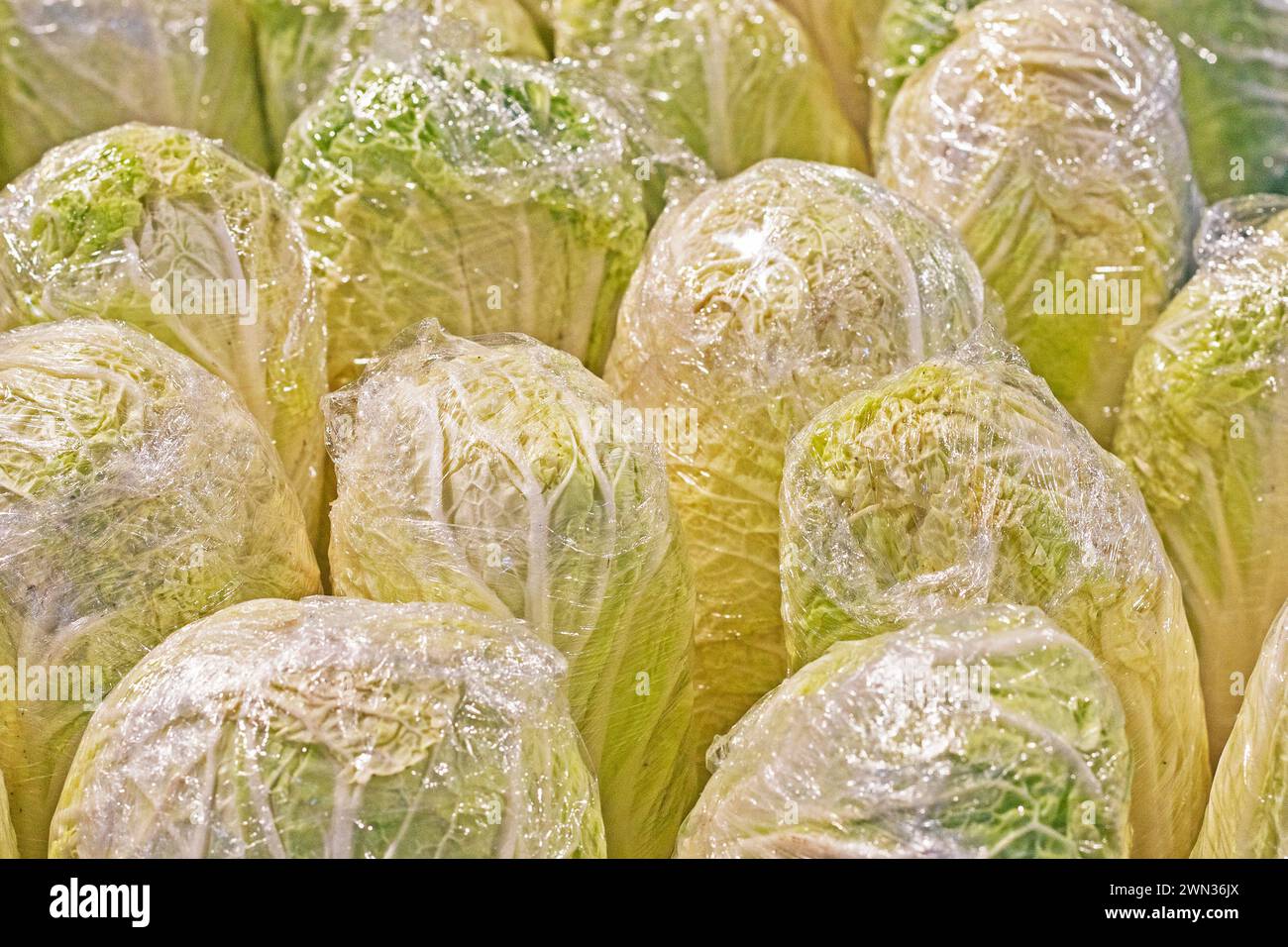 background from Beijing ripe cabbage packed in transparent film ...