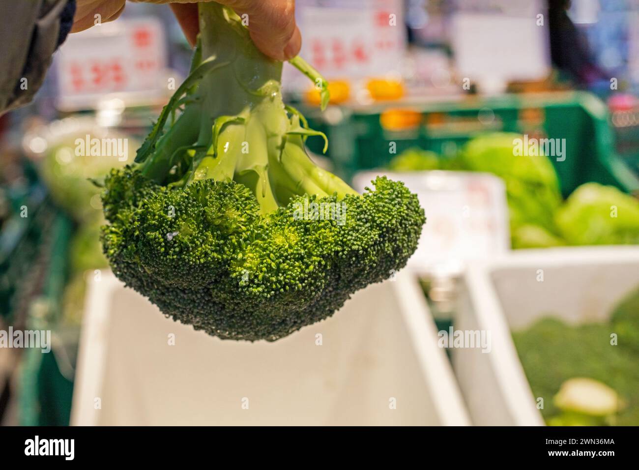choosing broccoli in the supermarket. Healthy eating Stock Photo - Alamy