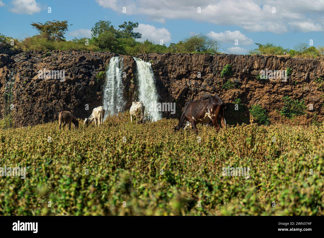 Blue nile falls tis issat hi-res stock photography and images - Alamy