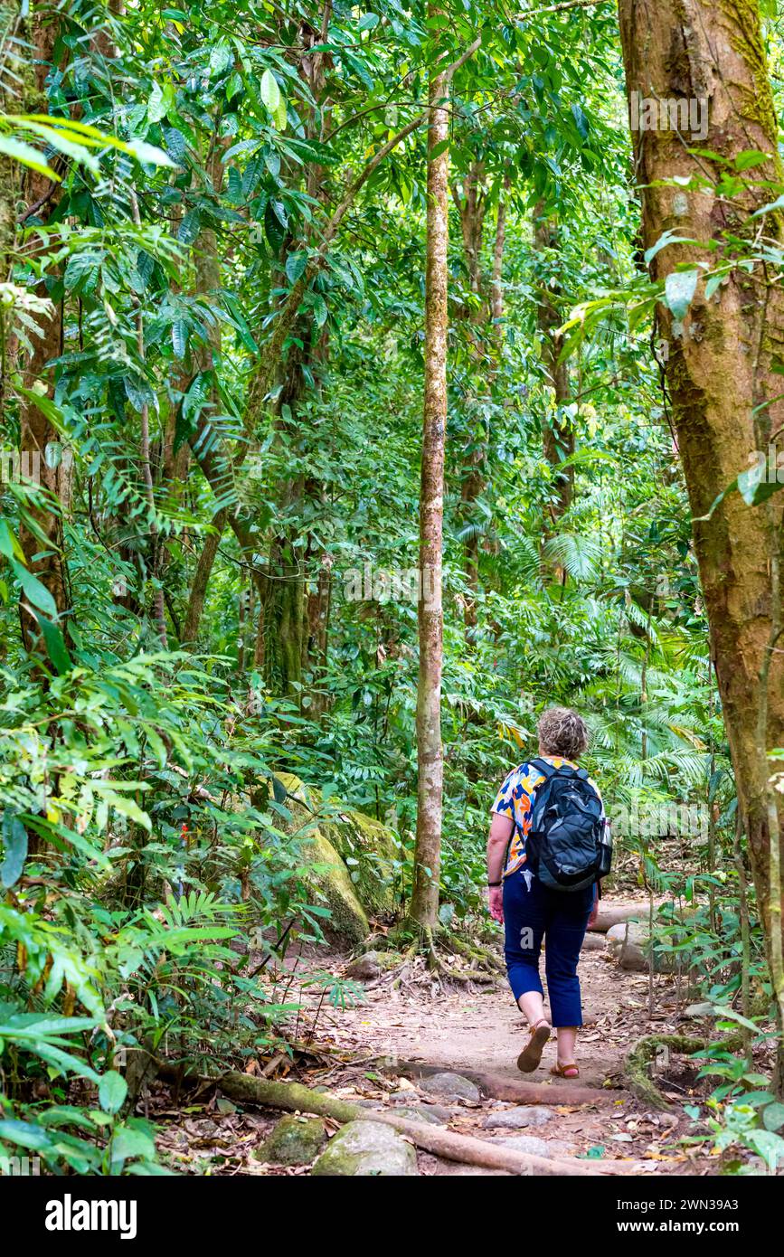 Daintree rainforest plants hi-res stock photography and images - Alamy