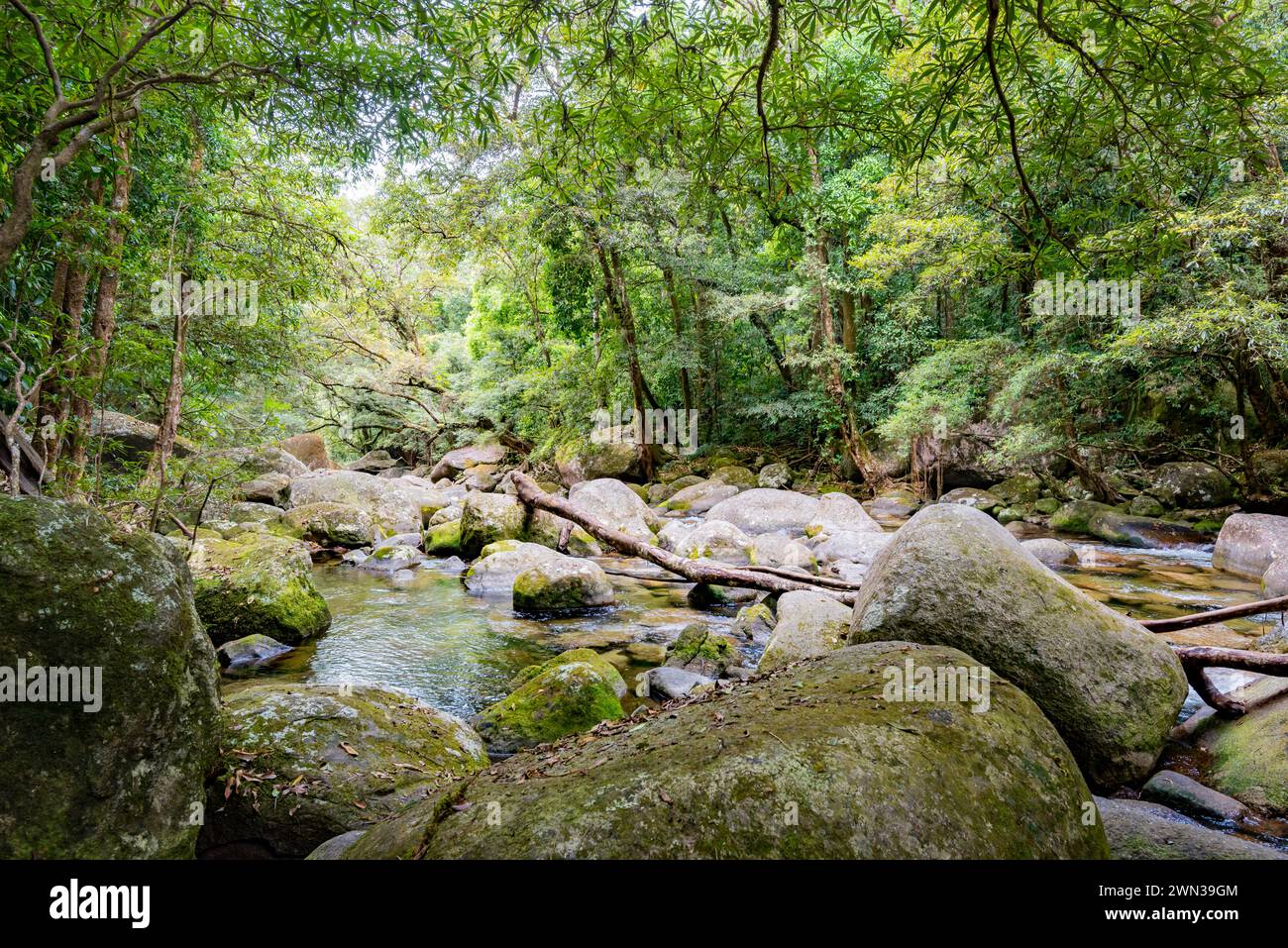 The icy cold Mossman River, deep in tropical Mossman Gorge in the ...