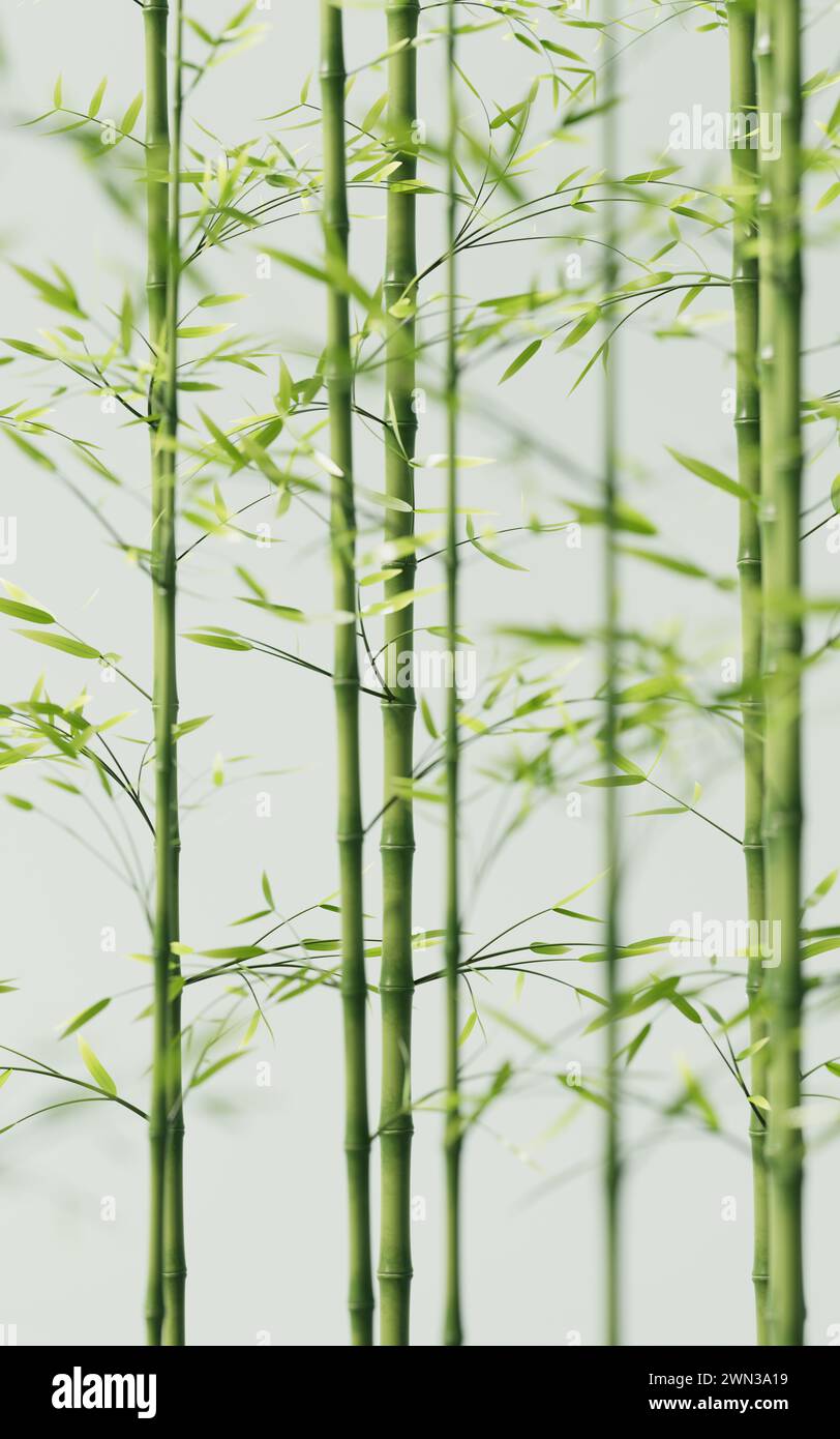 Green natural bamboo plant background, 3d rendering. 3D illustration Stock Photo - Alamy