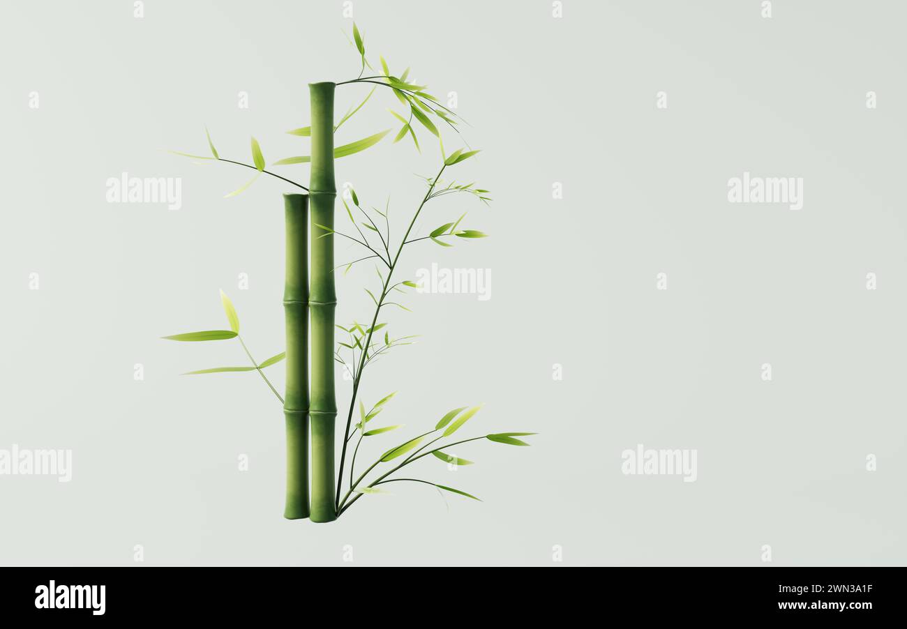 Green natural bamboo plant background, 3d rendering. 3D illustration Stock Photo - Alamy