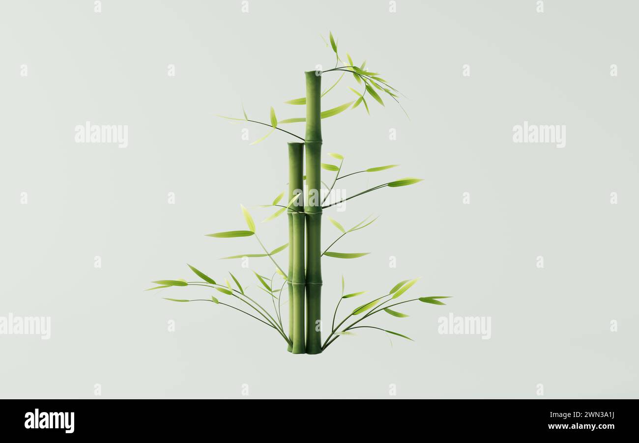 Green natural bamboo plant background, 3d rendering. 3D illustration Stock Photo - Alamy