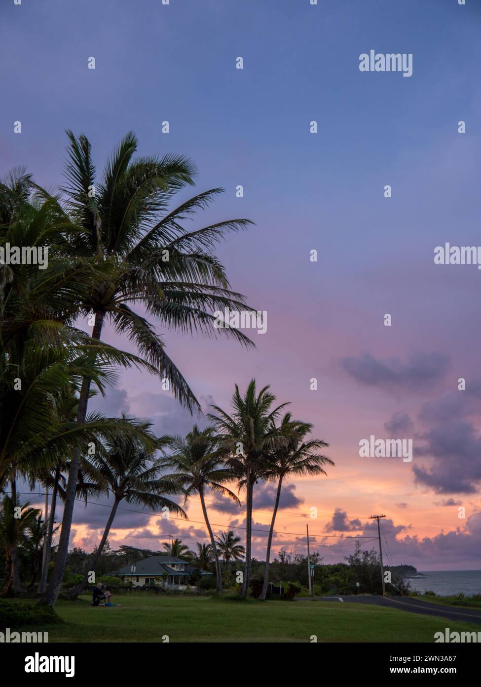 Picturesque tropical sunset palm trees hi-res stock photography and ...