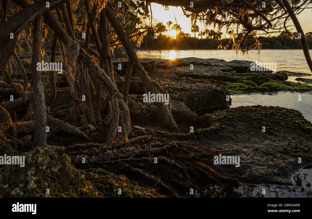 Overlooked tranquility hi-res stock photography and images - Alamy