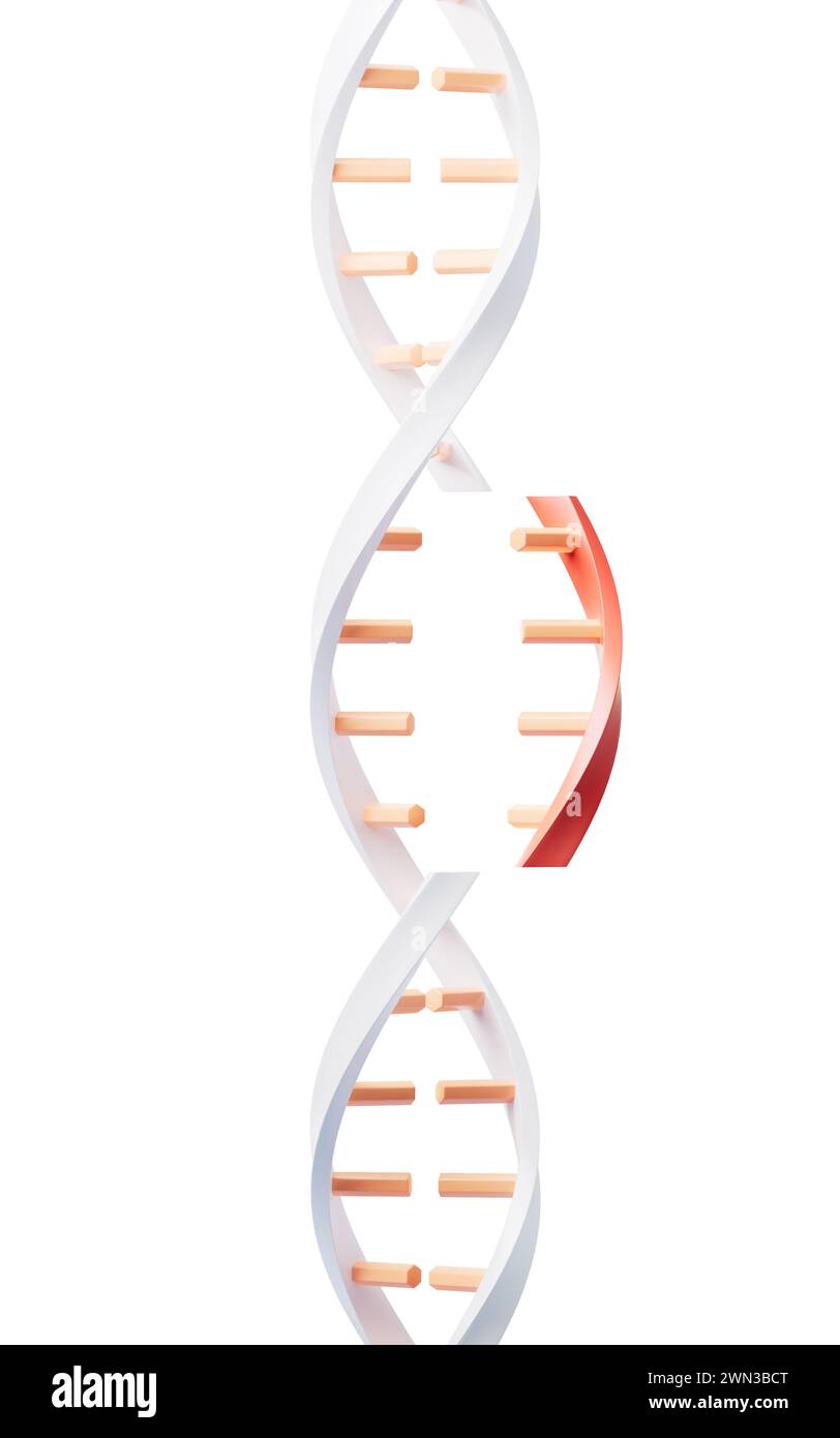 Mutation dna Cut Out Stock Images & Pictures - Alamy
