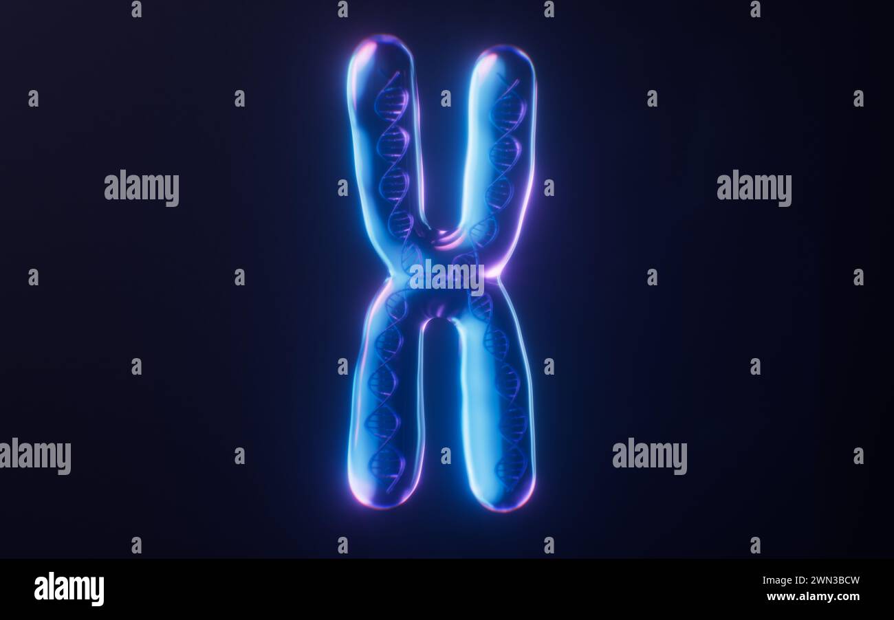 Chromatin microscope hi-res stock photography and images - Alamy