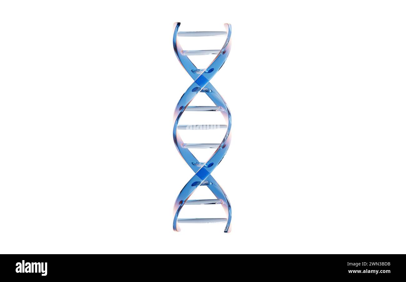 DNA with biological concept, 3d rendering. 3D illustration Stock Photo ...