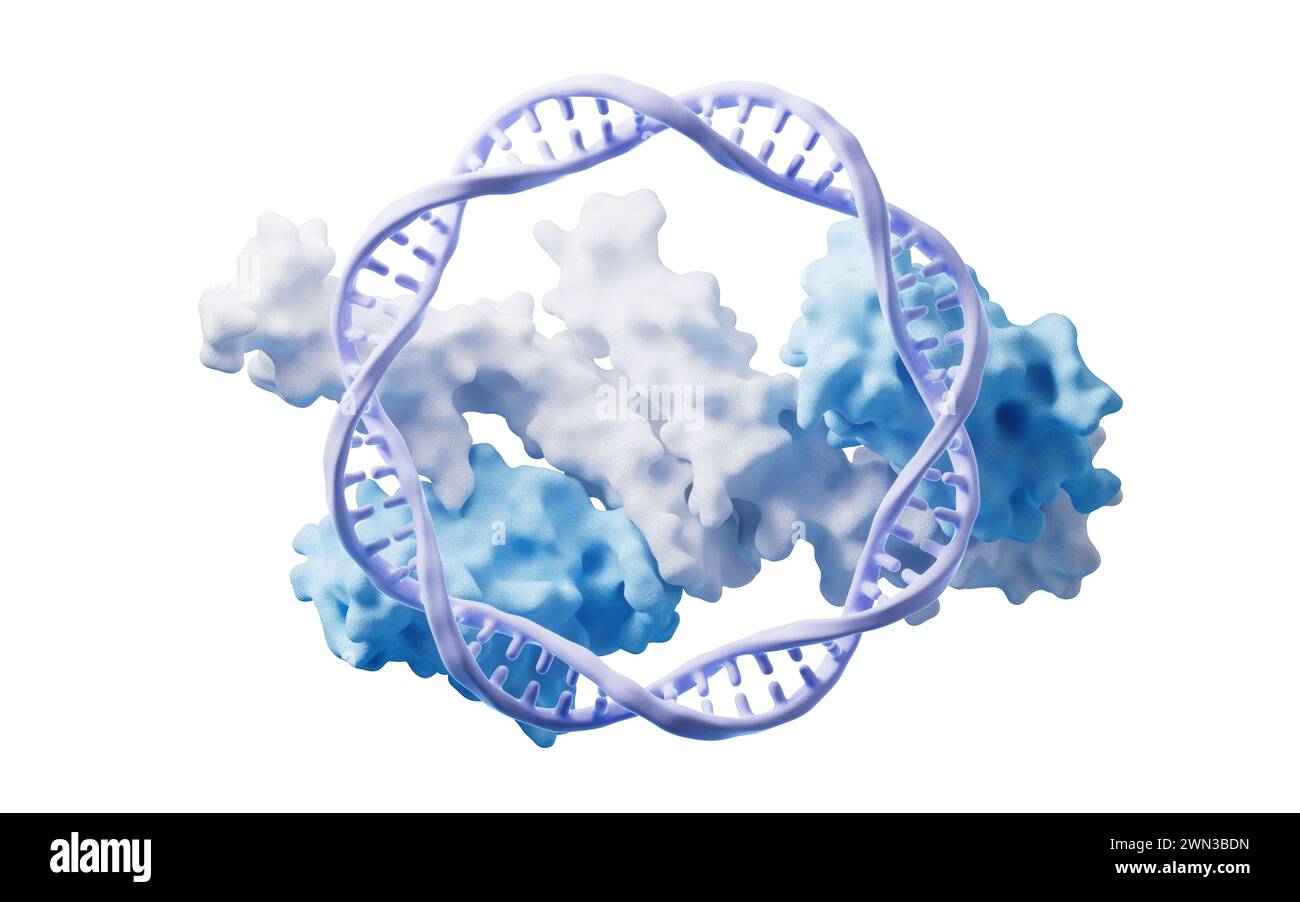 DNA with biological concept, 3d rendering. 3D illustration Stock Photo ...