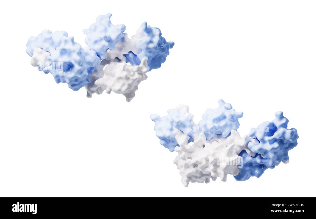 Protein structure with biological concept, 3d rendering. 3D ...