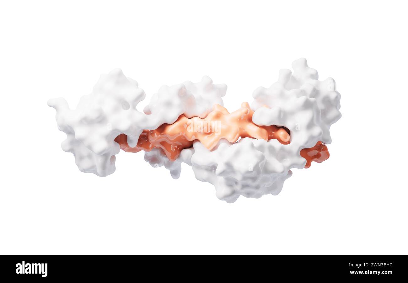 Protein structure with biological concept, 3d rendering. 3D ...