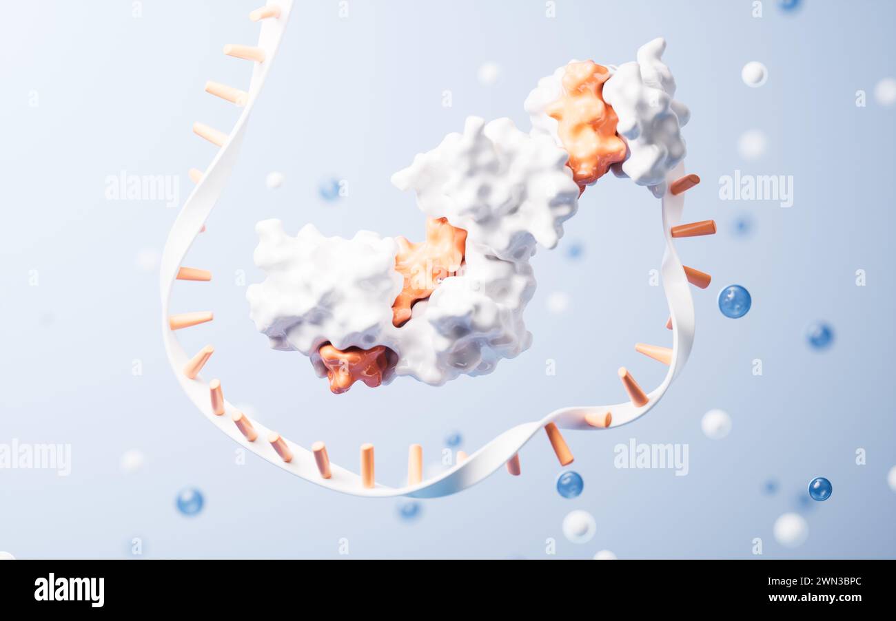 RNA and proteins with biological concept, 3d rendering. 3D illustration ...